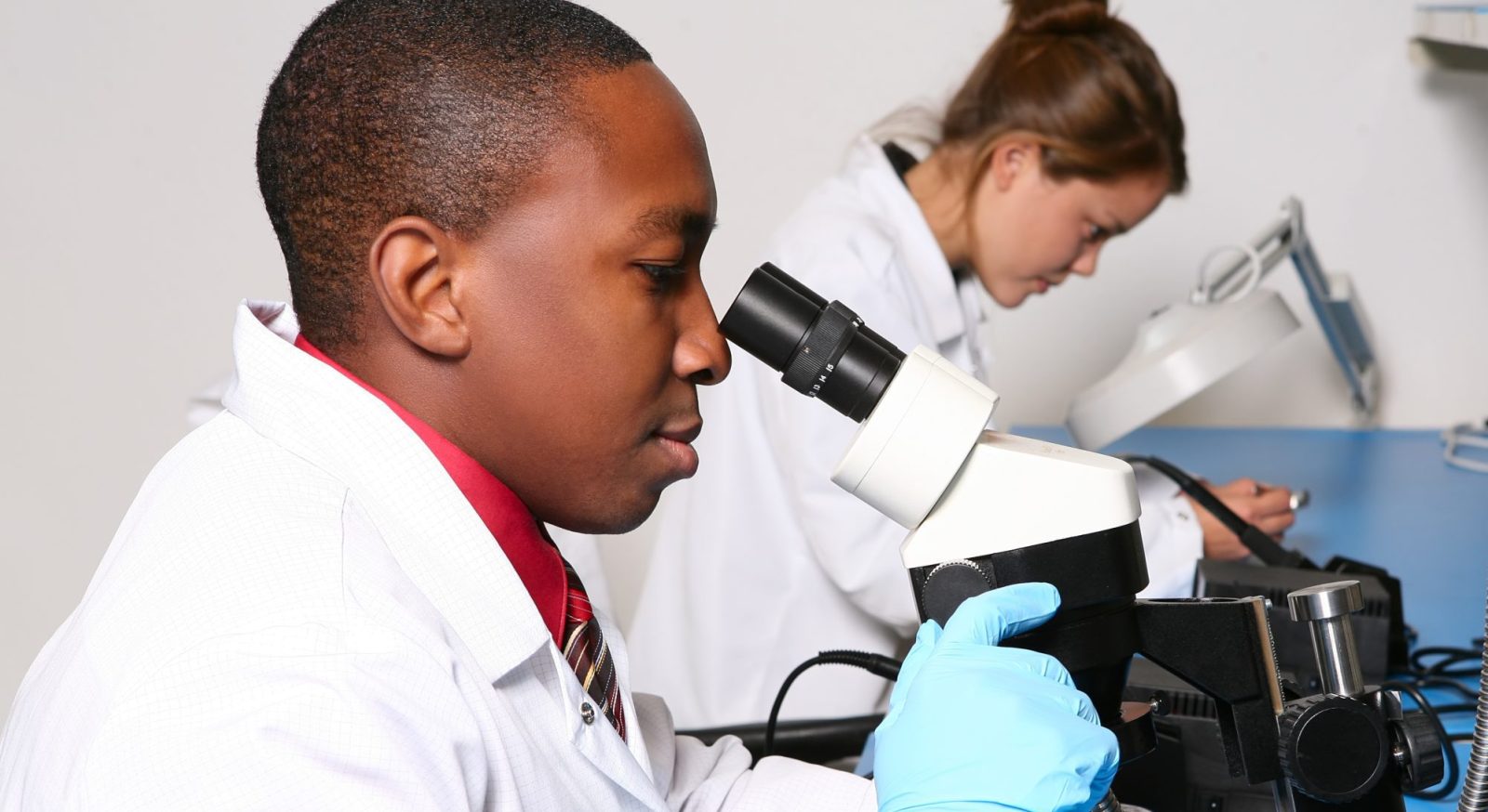 Medical innovator LifeArc leading the way in developing future life ...